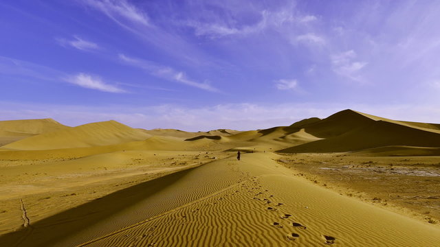 Gobi Desert Images – Browse 35,516 Stock Photos, Vectors, and Video ...