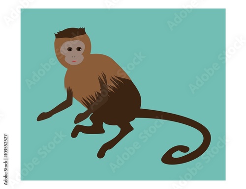 "Cute cartoon capuchin monkey" Stock image and royalty-free vector ...