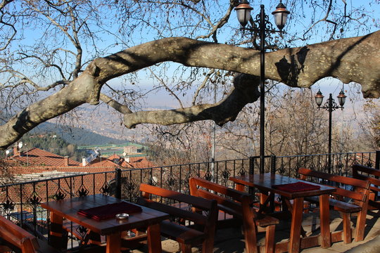 Chenar Images – Browse 28 Stock Photos, Vectors, and Video | Adobe Stock