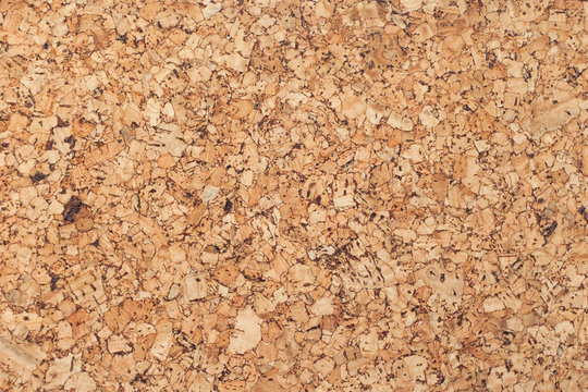 รูปภาพCork – เลือกดูภาพถ่ายสต็อก เวกเตอร์ และวิดีโอ451,203 | Adobe Stock