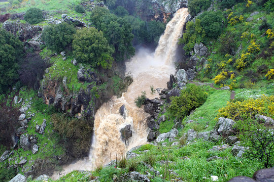 รูปภาพPanias – เลือกดูภาพถ่ายสต็อก เวกเตอร์ และวิดีโอ1,215 | Adobe Stock