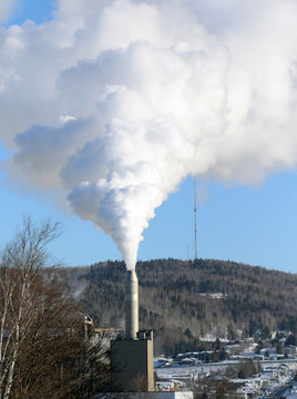 Imagens de Boucaner – Explore Fotografias do Stock, Vetores e Vídeos de ...