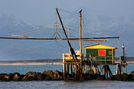 Retone Images – Browse 28 Stock Photos, Vectors, and Video | Adobe Stock