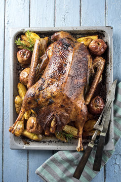 Mastgans bilder – Bläddra bland 161 stockfoton, vektorer och videor ...