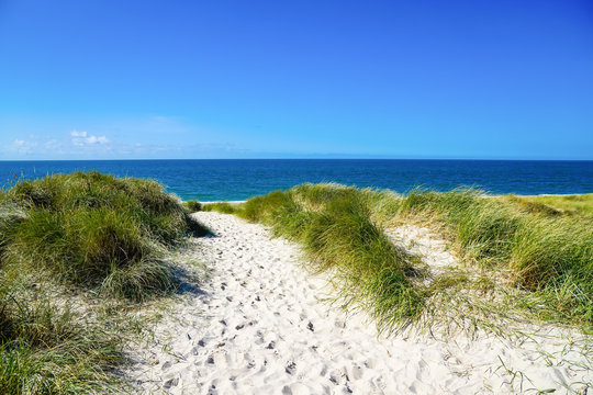 Badestrand Images – Parcourir 7,705 le catalogue de photos, vecteurs et ...
