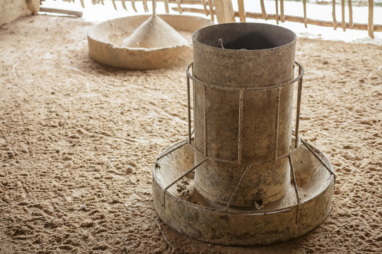 "Pig Sty" Bilder – Durchsuchen 286 Archivfotos, Vektorgrafiken und ...