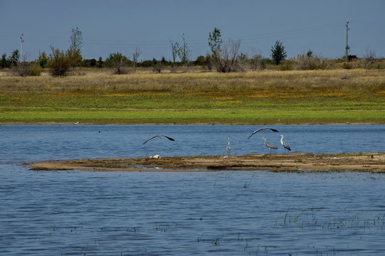 Rabisha Bilder – Durchsuchen 79 Archivfotos, Vektorgrafiken und Videos ...