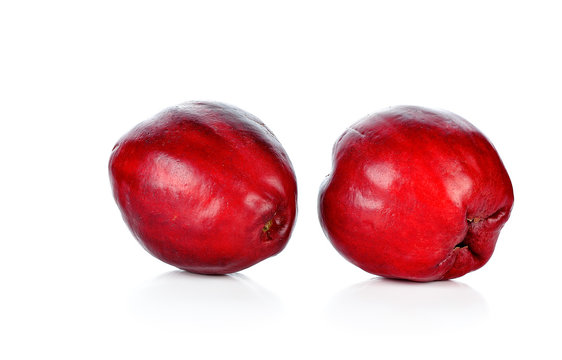 รูปภาพPomerac – เลือกดูภาพถ่ายสต็อก เวกเตอร์ และวิดีโอ164 | Adobe Stock