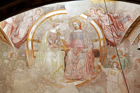 Tiburio - Images et vidéos libres de droits | Adobe Stock