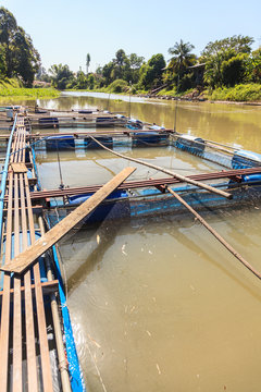 รูปภาพSakae – เลือกดูภาพถ่ายสต็อก เวกเตอร์ และวิดีโอ1,596 | Adobe Stock