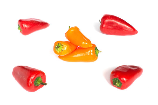 「Mini-Paprika」の写真素材 | 5,132件の無料イラスト画像 | Adobe Stock