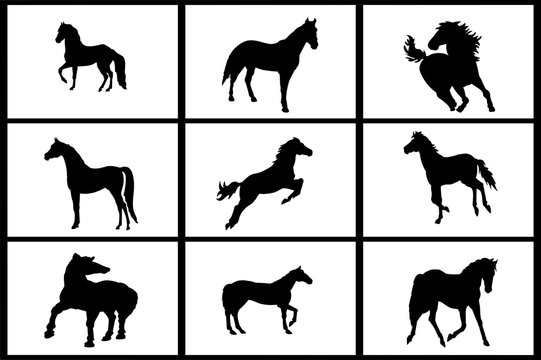 134 BEST Atlar IMAGES, STOCK PHOTOS & VECTORS | Adobe Stock