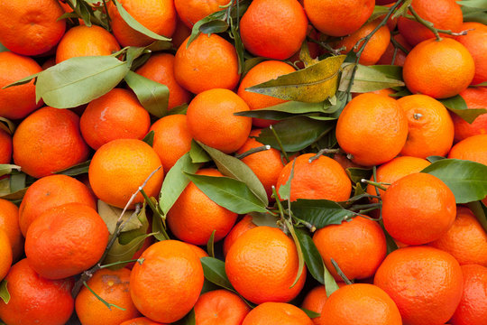 รูปภาพClementinen – เลือกดูภาพถ่ายสต็อก เวกเตอร์ และวิดีโอ1,858 | Adobe ...