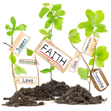 Growing In Faith Clip Art