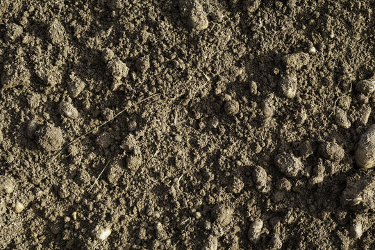 Souiller bilder – Bläddra bland 540 stockfoton, vektorer och videor ...