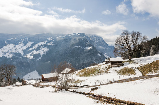 Firstbahn Images – Browse 41 Stock Photos, Vectors, and Video | Adobe Stock