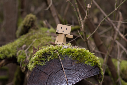 Danbo bilder – Bläddra bland 144 stockfoton, vektorer och videor ...