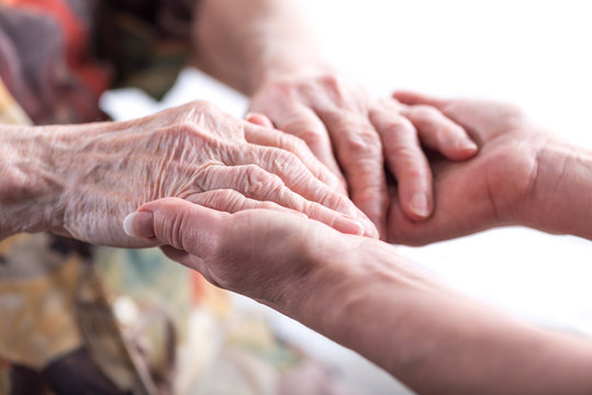 Free Hands Images – Browse 101,170 Free Stock Photos, Vectors, and ...