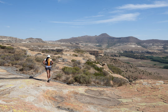 Holhoek Images – Browse 2 Stock Photos, Vectors, and Video | Adobe Stock