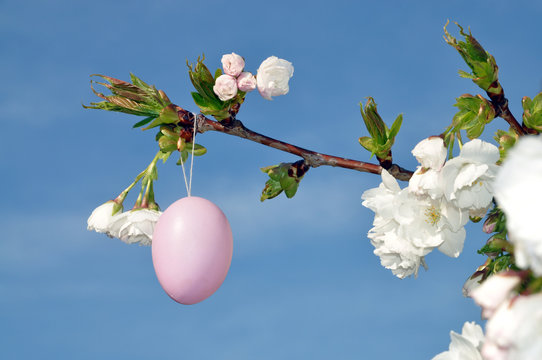 รูปภาพOsterstrauch – เลือกดูภาพถ่ายสต็อก เวกเตอร์ และวิดีโอ802 | Adobe ...