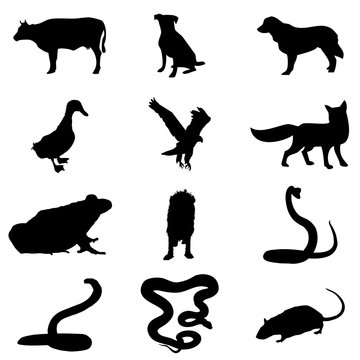 Imágenes de Animado Sed: descubre bancos de fotos, ilustraciones ...