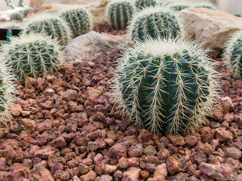 Hildm-Bilder: Stock-Fotos & -Videos. | Adobe Stock