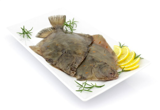 Flądra Images – Browse 50 Stock Photos, Vectors, and Video | Adobe Stock