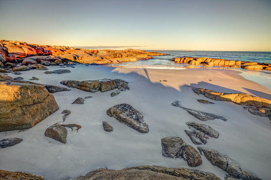 Consevation Images – Browse 240 Stock Photos, Vectors, and Video ...