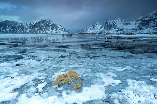 รูปภาพArktis – เลือกดูภาพถ่ายสต็อก เวกเตอร์ และวิดีโอ11,315 | Adobe Stock
