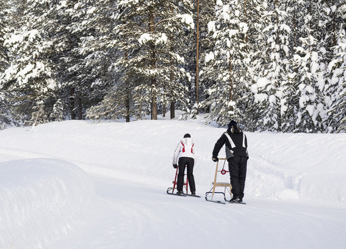 Kicksled Images – Browse 98 Stock Photos, Vectors, and Video | Adobe Stock