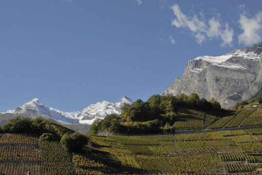 Valaisan Images – Browse 211 Stock Photos, Vectors, and Video | Adobe Stock