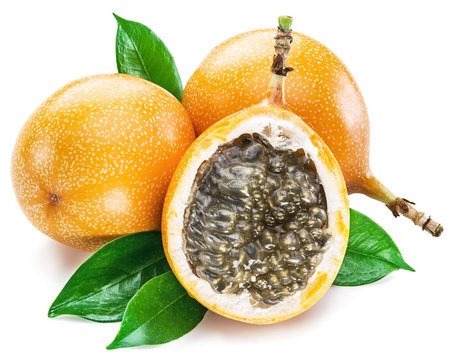 รูปภาพBarbadine – เลือกดูภาพถ่ายสต็อก เวกเตอร์ และวิดีโอ2,072 | Adobe Stock