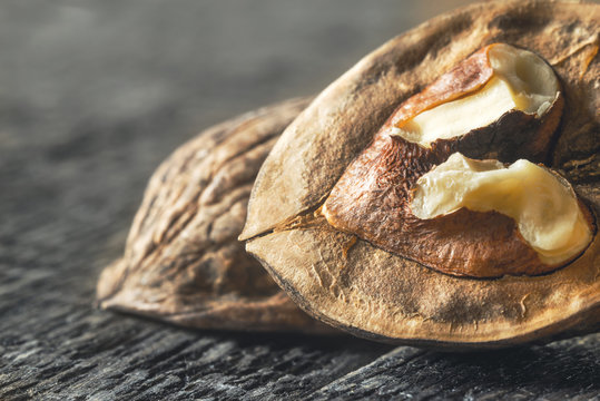 รูปภาพNutshell – เลือกดูภาพถ่ายสต็อก เวกเตอร์ และวิดีโอ201,265 | Adobe ...