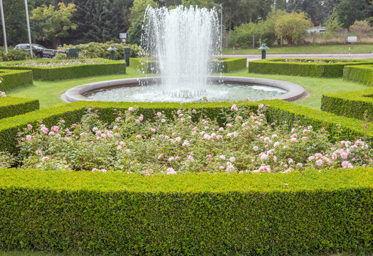 รูปภาพBuschrosen – เลือกดูภาพถ่ายสต็อก เวกเตอร์ และวิดีโอ156 | Adobe Stock