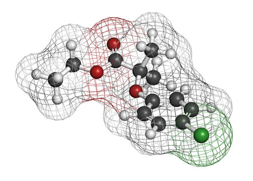 Clofibrat Bilder – Durchsuchen 88 Archivfotos, Vektorgrafiken und ...