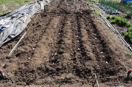 Monocropping Bilder – Durchsuchen 369 Archivfotos, Vektorgrafiken und ...