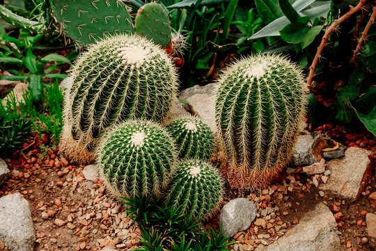 Hildm-Bilder: Stock-Fotos & -Videos. | Adobe Stock