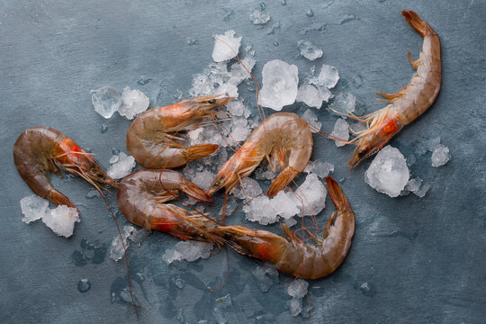 Shrims Images – Browse 362 Stock Photos, Vectors, and Video | Adobe Stock