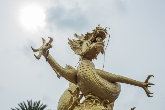 「Gragon」の写真素材 | 410件の無料イラスト画像 | Adobe Stock