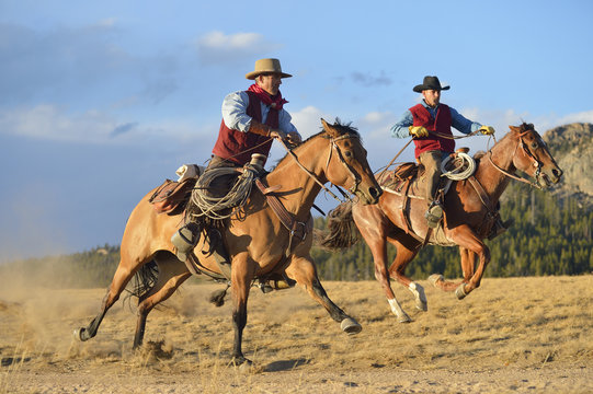 รูปภาพCowboys – เลือกดูภาพถ่ายสต็อก เวกเตอร์ และวิดีโอ388,793 | Adobe Stock