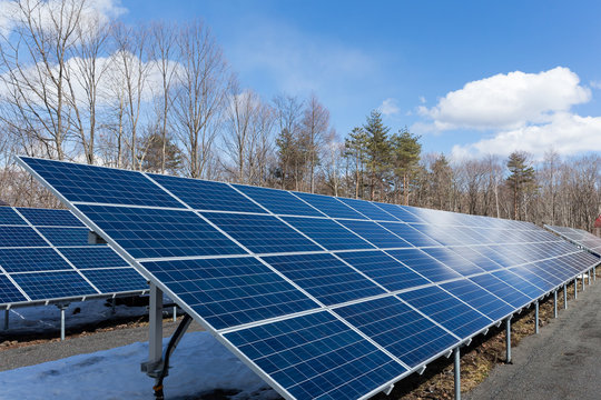 รูปภาพClimate-Friendly – เลือกดูภาพถ่ายสต็อก เวกเตอร์ และวิดีโอ317 ...