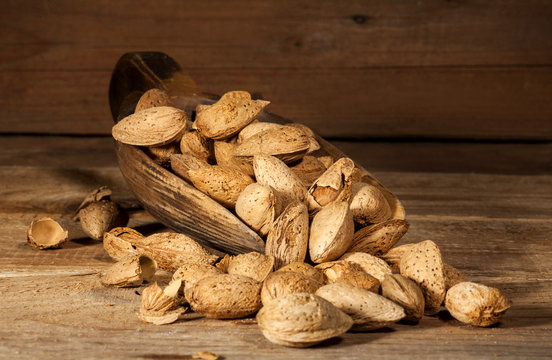 Badam Images – Browse 3,518 Stock Photos, Vectors, and Video | Adobe Stock