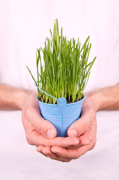 Grassroots Images – Browse 797 Stock Photos, Vectors, and Video | Adobe ...