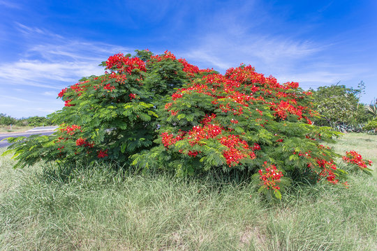 รูปภาพNanggol – เลือกดูภาพถ่ายสต็อก เวกเตอร์ และวิดีโอ94 | Adobe Stock