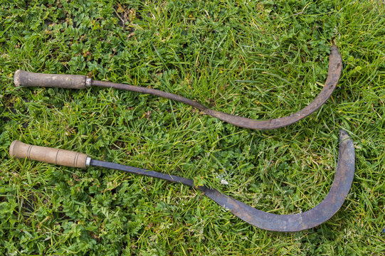 รูปภาพSacho – เลือกดูภาพถ่ายสต็อก เวกเตอร์ และวิดีโอ8 | Adobe Stock