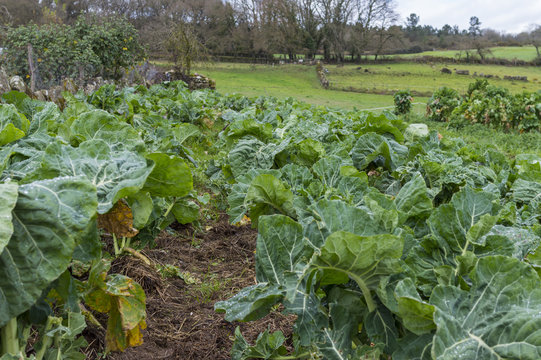 รูปภาพBerzas – เลือกดูภาพถ่ายสต็อก เวกเตอร์ และวิดีโอ87 | Adobe Stock