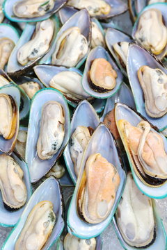 รูปภาพLapu-Lapu – เลือกดูภาพถ่ายสต็อก เวกเตอร์ และวิดีโอ158 | Adobe Stock