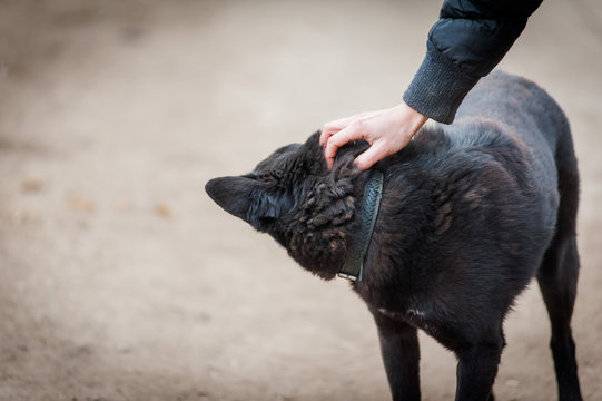 Carresing Images – Browse 26 Stock Photos, Vectors, and Video | Adobe Stock