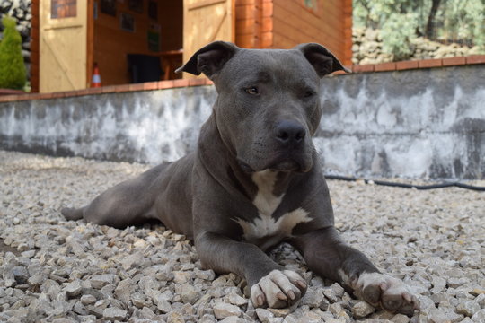 Ukc Images – Browse 59 Stock Photos, Vectors, and Video | Adobe Stock