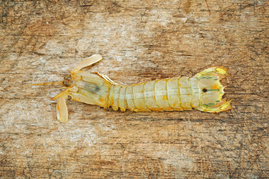 Krill Bilder – Durchsuchen 6,367 Archivfotos, Vektorgrafiken und Videos ...